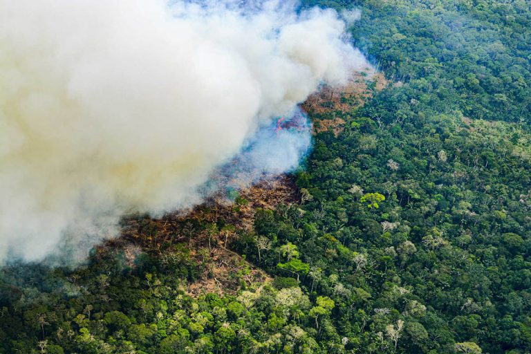 Serfor: Más del 70% de los incendios forestales han ocurrido en la ...